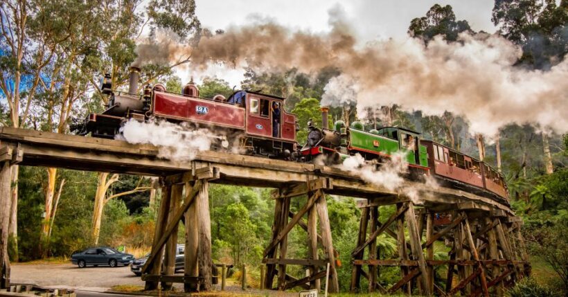 Puffing Billy Railway: Heritage Steam Train Journey - Who Will Love This Tour?