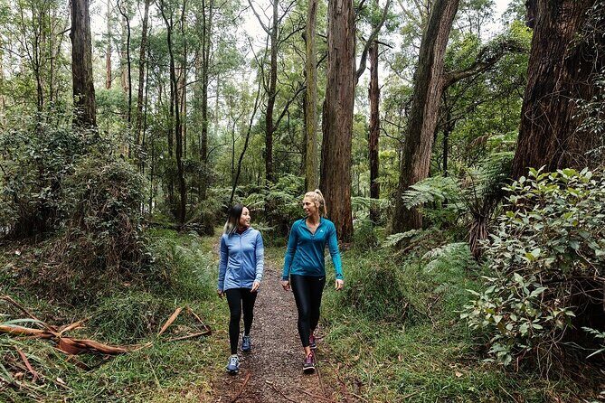 Puffing Billy & Rainforest Tour from Melbourne - An Inside Look at the Tour Experience