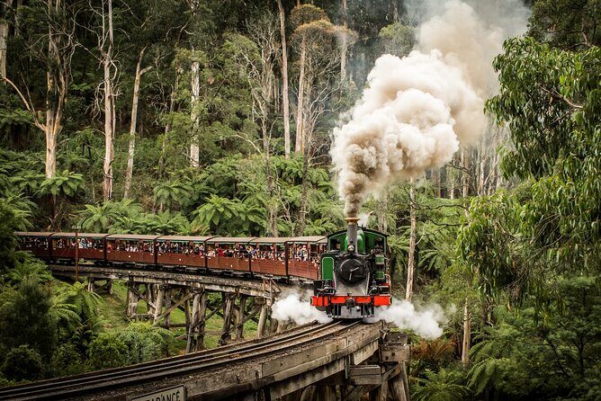 Puffing Billy Steam Train & Cherry Picking Tour from Melbourne - A Detailed Look at the Tour Experience