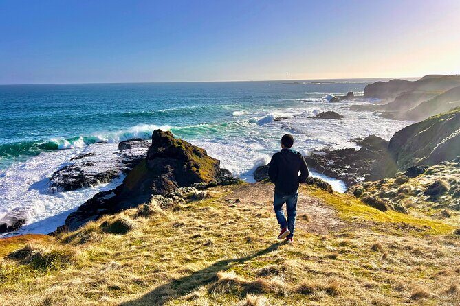 Puffing Billy Tour and Penguin Parade from Melbourne - Authentic Experiences Highlighted by Travelers