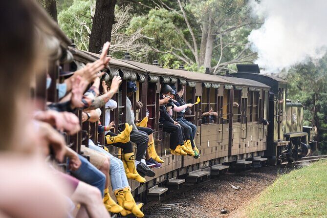 Puffing Billy Train and Penguins Wildlife Tour - Key Points