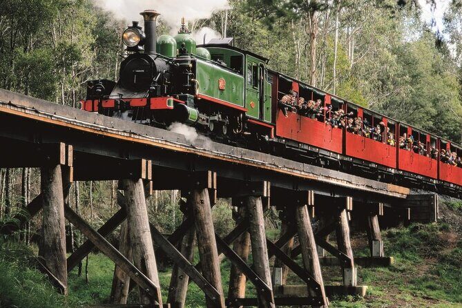 Puffing Billy Train and Phillip Island Penguin Parade Day Tour - An In-Depth Look at the Itinerary