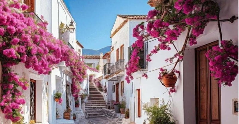 Puglia: Locorotondo, Cisternino, and Ostuni Private Tour - Key Points