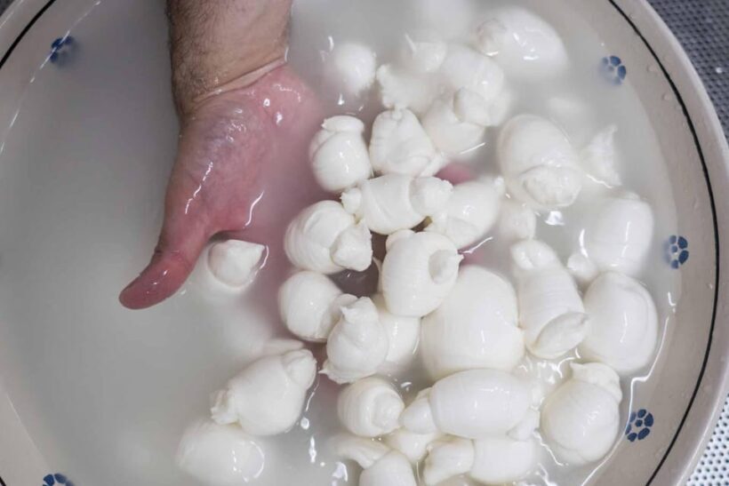 Puglia: Masseria Seppunisi Tour, Cheese, Burrata Tasting - Practical Details: Cost, Duration, and Accessibility