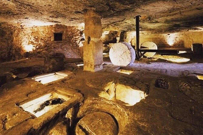 Puglia Olive Oil Tasting Experience with Olive Grove Walk - Key Points