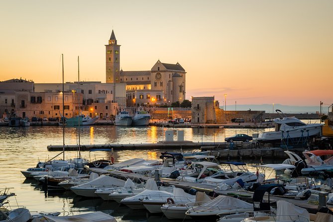 Puglia - Private Guided Tour of the City of Trani - Authentic Traveler Perspectives