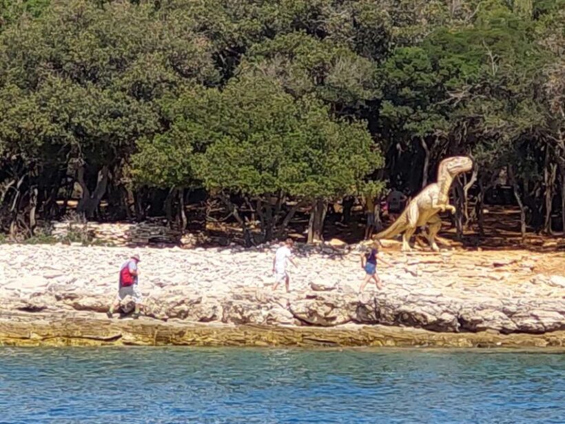 Pula: Brijuni National Park & Swimming Tour (in Faana) - The Sum Up