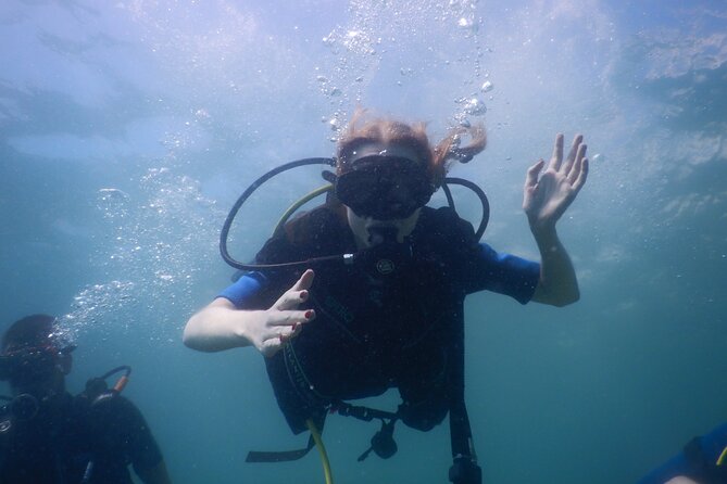 Pula Discover Scuba Diving Package - Inclusions and Meeting Details