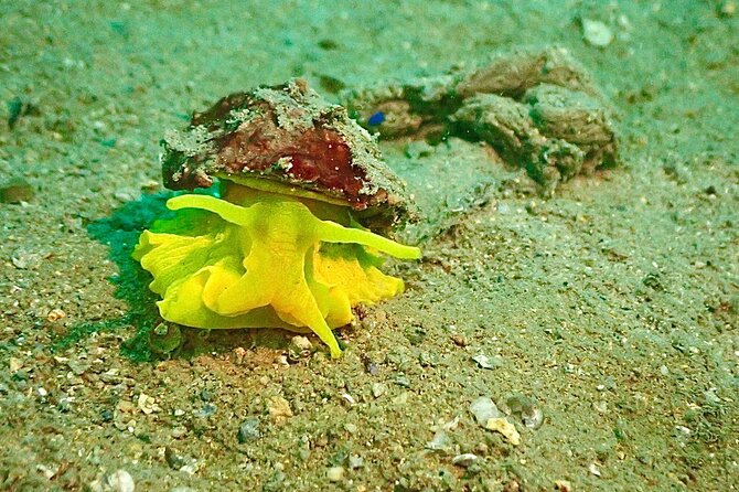 Pula Discover Scuba Diving Package - Preparing for Your Dive Adventure