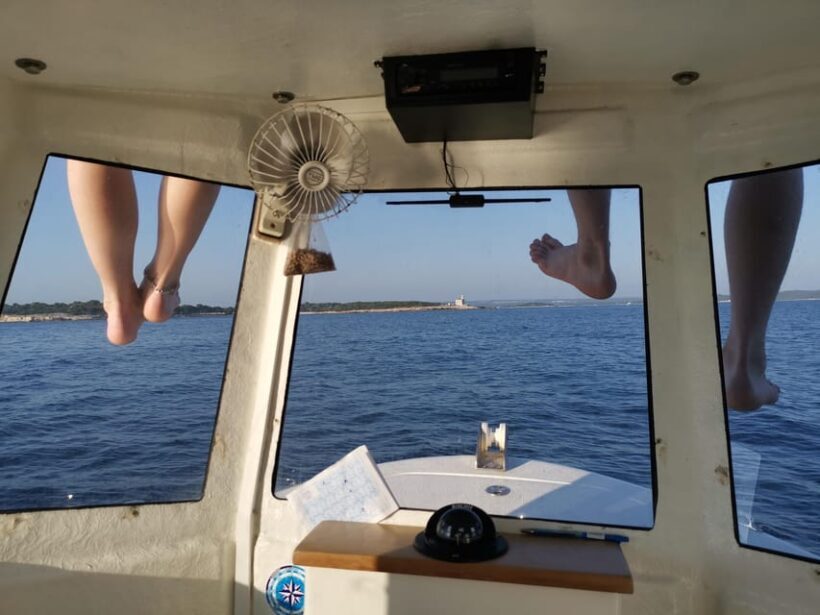 Pula Dolphin Watching Boat Trip - Practical Details and Value