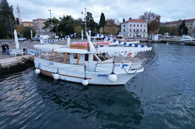 Pula: Dolphin-Watching Cruise at Sunset with Dinner & Drinks - Practical Tips for Travelers