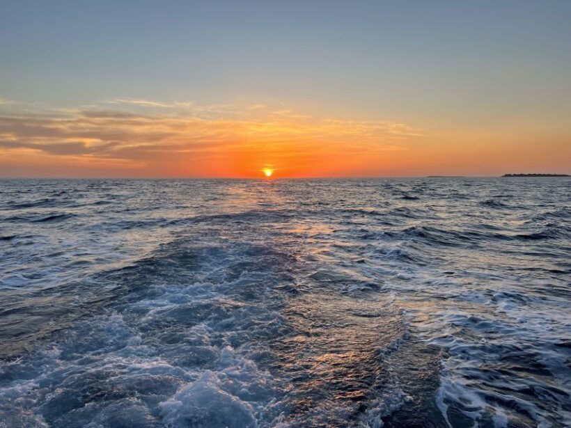 Pula: Dolphin Watching Sunset Cruise with Dinner & Drinks - FAQ