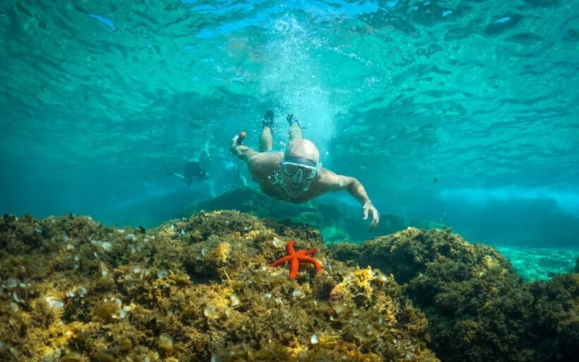 Pula: Kayaking,Snorkeling, Cliff jumping Tour with Wetsuit - Key Points