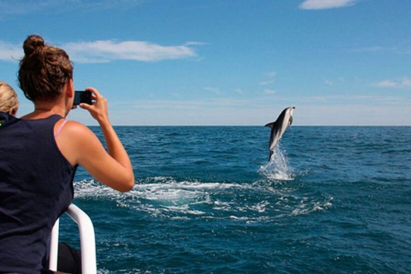 Pula: National Park Brijuni Dolphin Cruise with Dinner - Why This Tour Offers Good Value