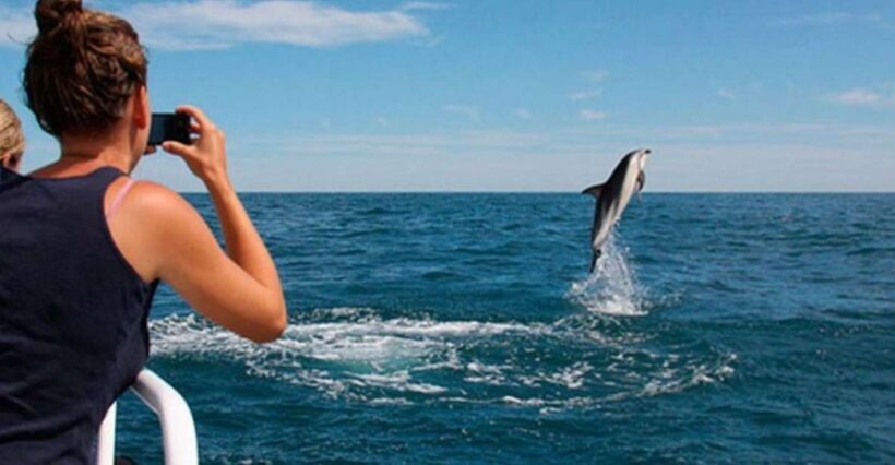 Pula: National Park Brijuni Island Visit & Dolphin Cruise - Who Will Love This Tour?
