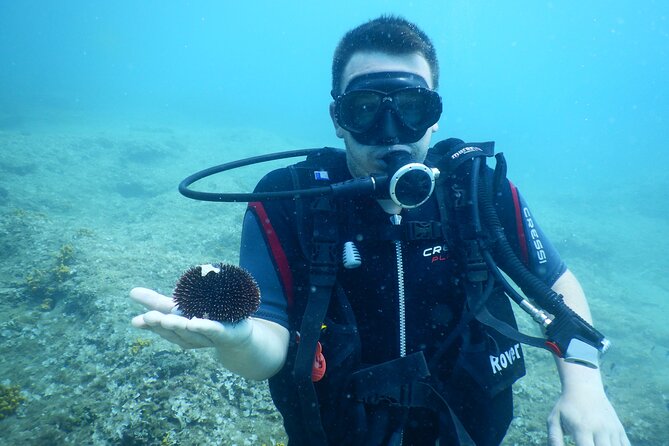 Pula PRIVATE Discover Scuba Diving - The Value of a Private Tour in Pula