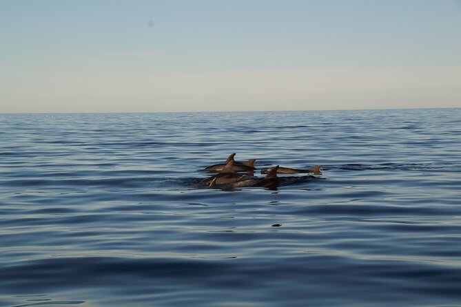 Pula: Private Golden Hour Sail - Dolphins, Drinks & Brijuni Views - FAQs