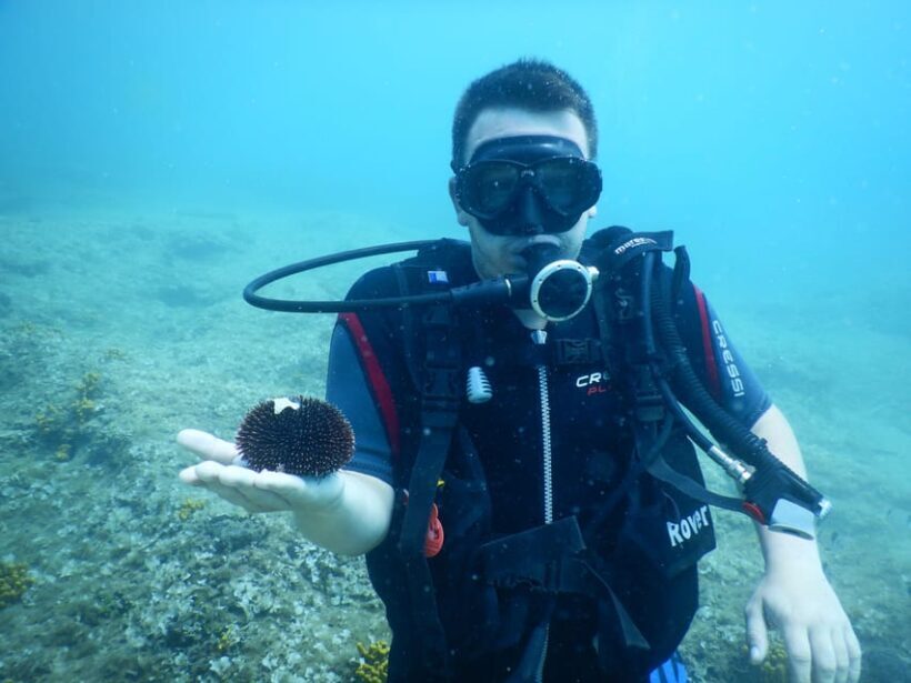 Pula: Private Introduction to Scuba Diving - Final Thoughts: Is It Worth It?