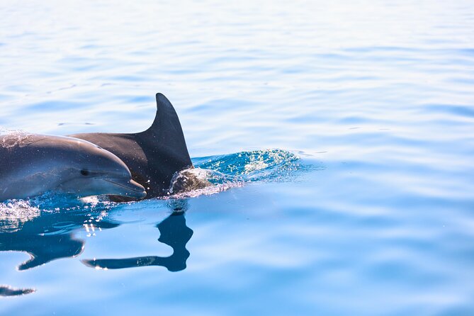 Pula Private Sailing Tour: 4-Hour Customizable Sail, Snorkel, SUP - FAQ