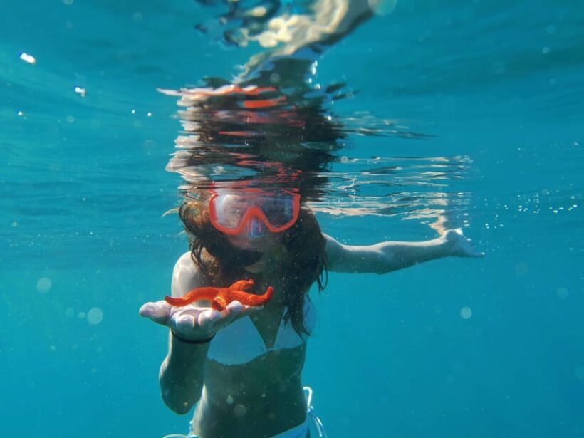 Pula Snorkeling Adventure Boat Trip - Who Will Love This Tour?