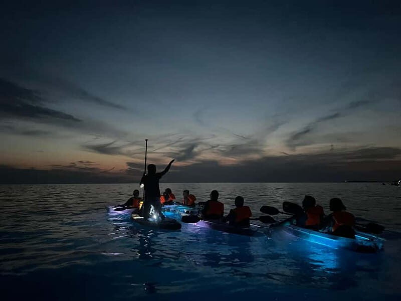 Pula: Sunset/Night Illuminated Transparent Kayak Tour - Authentic Testimonials
