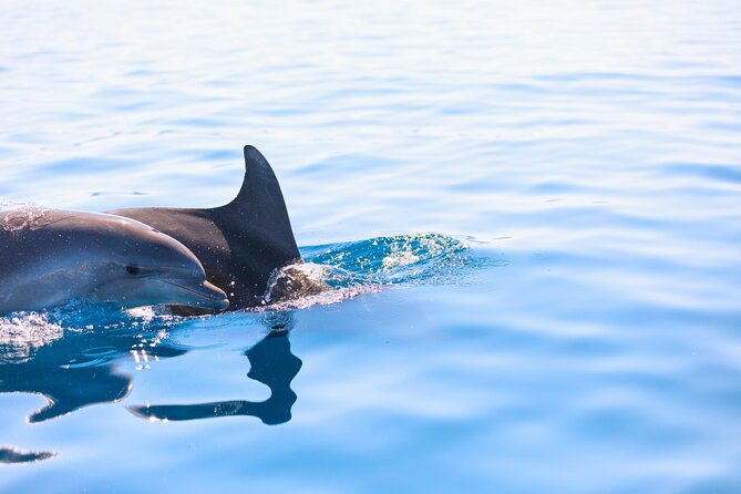 Pula: Your Custom Full-Day Private Sail - Explore Istria's Gems - Authentic Reviews and Insights