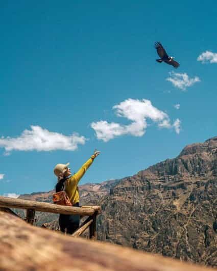 Puno to Arequipa: 2-Day/1-Night Colca Canyon Excursion - The Route and Its Highlights