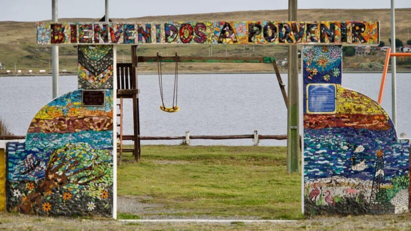 Punta Arenas: King Penguin Park and Tierra del Fuego Trip - Punta Arenas: King Penguin Park and Tierra del Fuego Trip – A Detailed Review