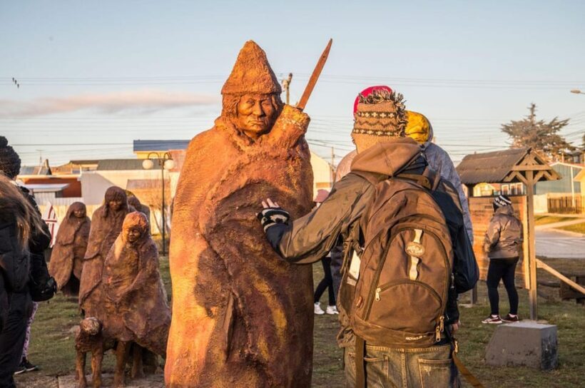 Punta Arenas: King Penguin Park and Tierra del Fuego Trip - Authentic Traveler Feedback and What It Tells Us