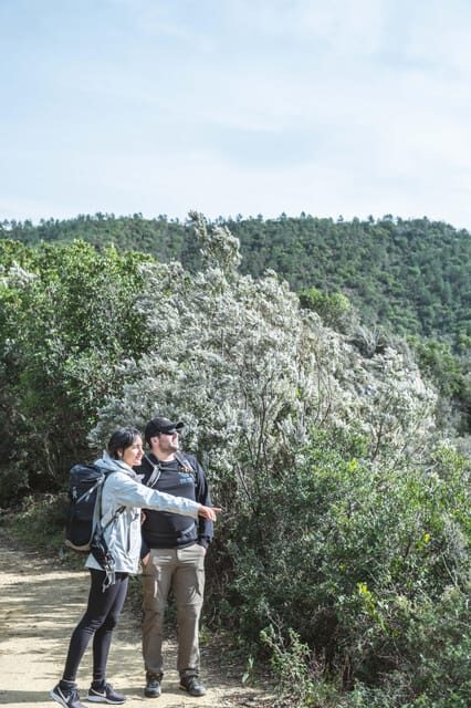 Punta Baffe: hiking immersed in the Mediterranean bush overlooking the sea - Key Points