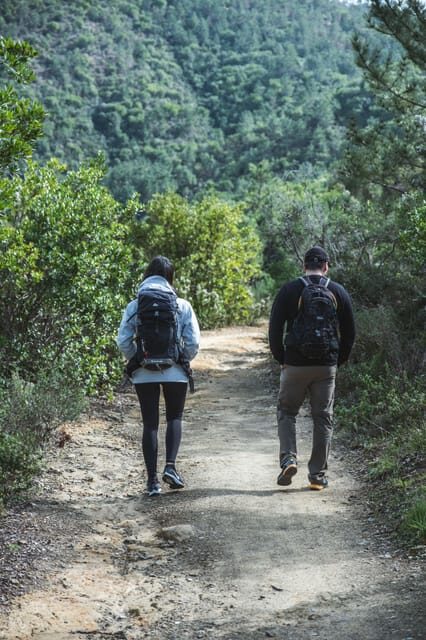 Punta Baffe: hiking immersed in the Mediterranean bush overlooking the sea - A Closer Look at the Itinerary