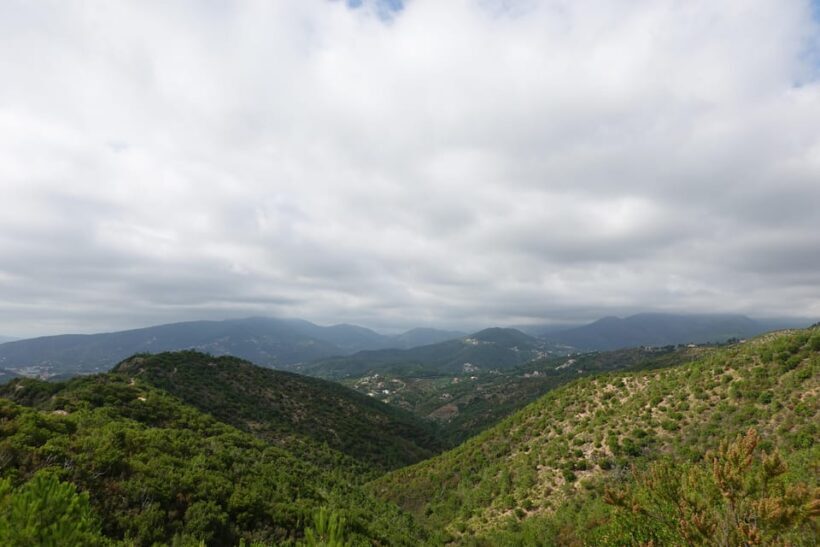 Punta Baffe: hiking immersed in the Mediterranean bush overlooking the sea - The Sum Up: Why This Tour Is Worth Considering