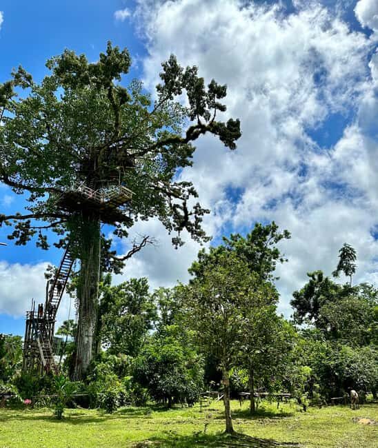 Punta Cana: 3-in-1 Adventure Haitises Park Waterfall Montaña - Final Thoughts: Is It Worth It?