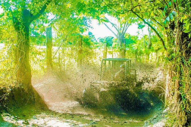 Punta Cana 4 Hours Buggy Tour Cave Macao Beach Free Pick Up - The Group Experience and Timing