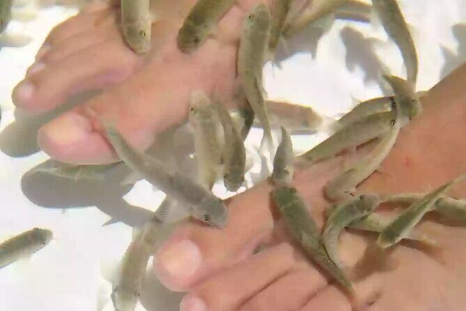 Punta Cana Adults Only Excursion to the only Floating Day Spa - The Sum Up