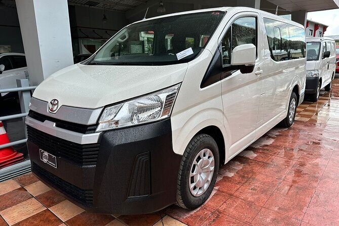 Punta Cana Airport to La Romana and Bayahibe Hotels (up to 70 km) - Booking and Flexibility