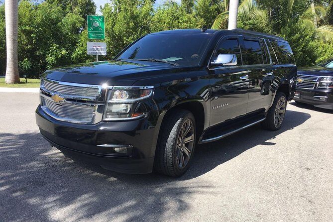 Punta Cana Airport to Punta Cana Hotels (up to 35 km) - Who Will Benefit Most?