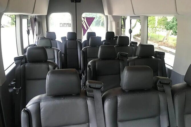 Punta Cana: Airport Transfers To Hotels For Group - Who Would Benefit Most?