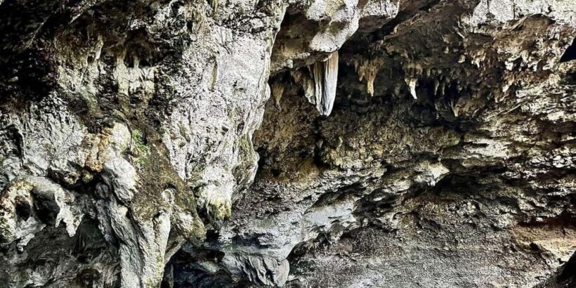 Punta Cana: All Inclusive Santo Domingo Full-Day City Tour - Final Thoughts