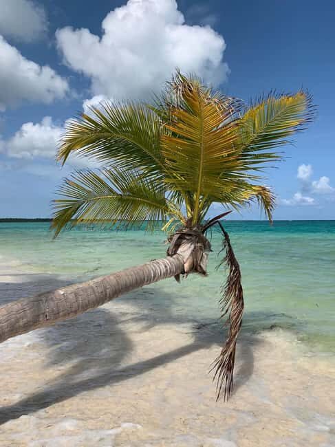 Punta Cana: All Inclusive Saona Island Experience - End of Day: Return and Reflection