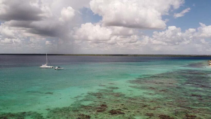 Punta Cana: All Inclusive Saona Island Experience - Who Should Book This Tour?