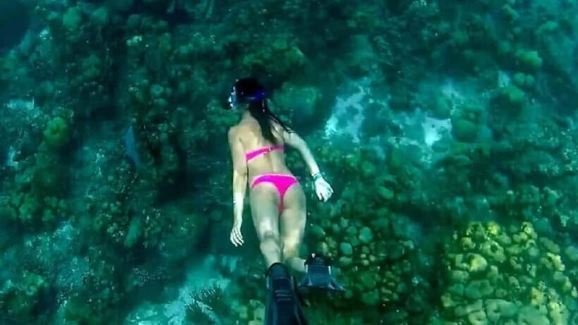 Punta Cana: Altos de Chavón & Catalina Island Day Trip - Analyzing the value