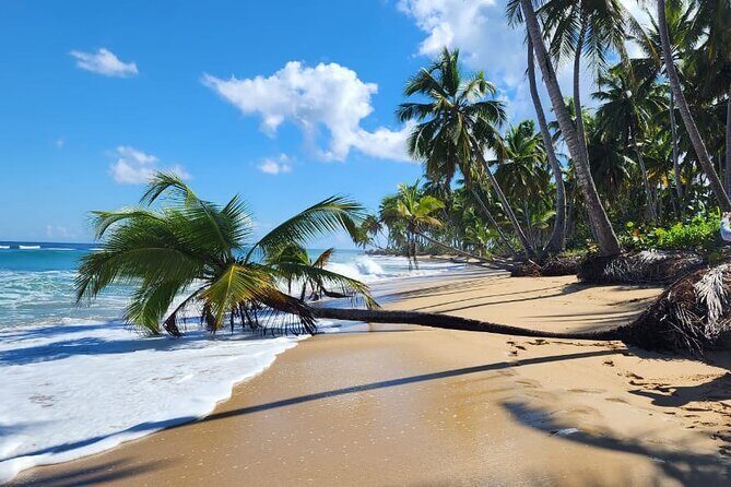 Punta Cana: Amazing ATV Adventure Private Road & Beach W/ PickUp - Who Is This Tour Best For?