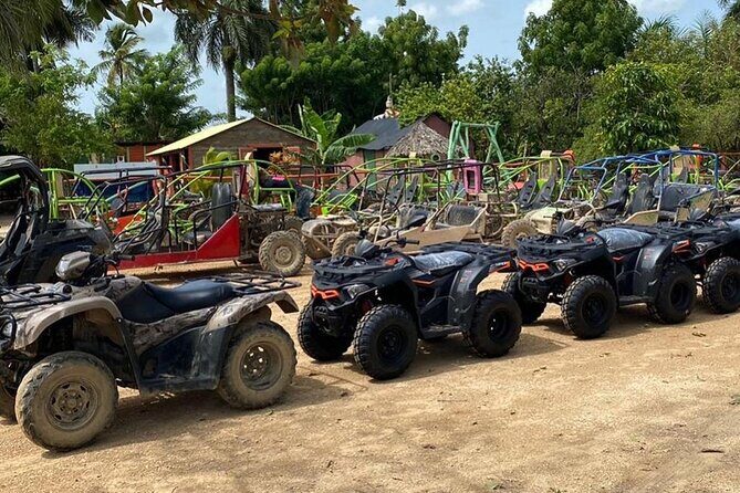 Punta Cana: Amazing Buggy Off Road Macao Beach Cenote - An In-Depth Look at the Punta Cana Buggy Adventure