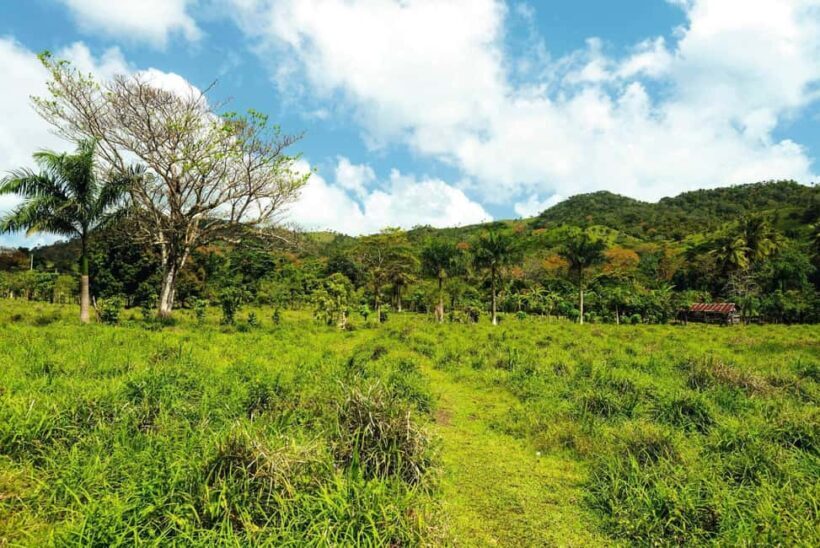 Punta Cana: Anamaya Mountains Walking Tour with Tasting - Final Thoughts: Is It Worth It?