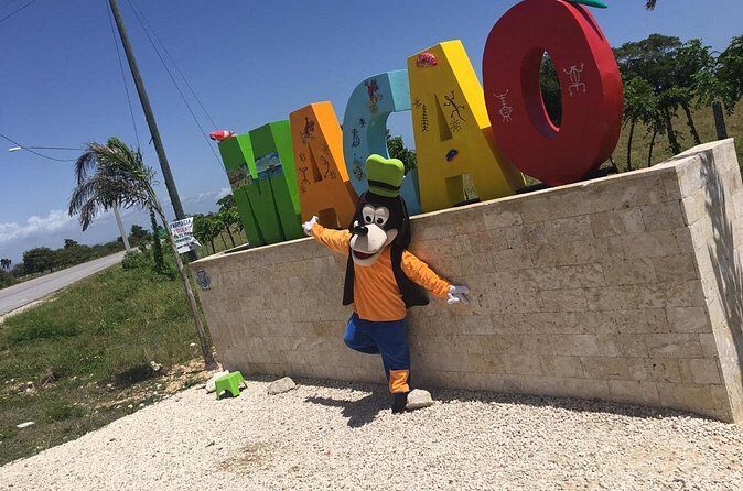 Punta Cana ATV Buggies Adventure from Santo Domingo Tour - Who Should Consider This Tour?