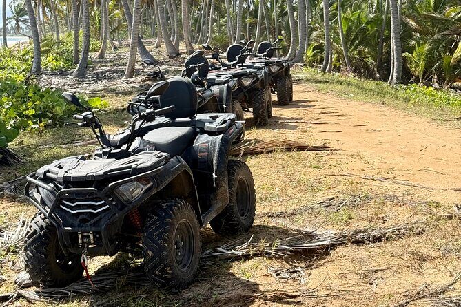 Punta Cana ATV: Jungle, Beach & River Small Group Tour - Frequently Asked Questions