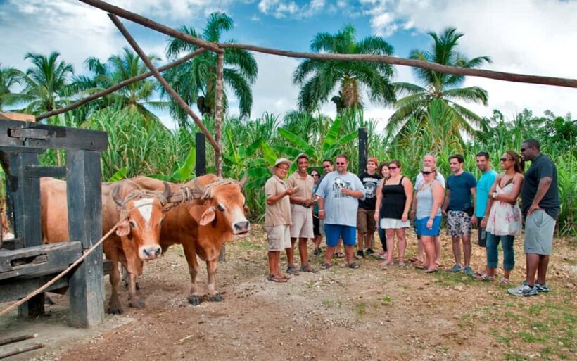 Punta Cana: Bavaro Runners Safari Tour - Exploring the Tour Itinerary
