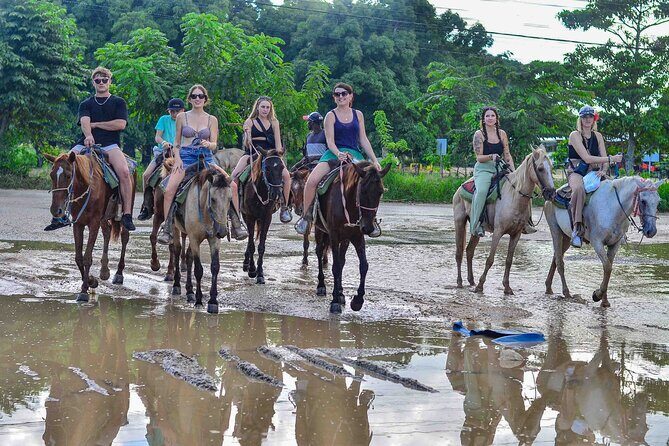Punta Cana Beach Horseback Ride Paradise Coast Experience - Practical Tips for Your Ride