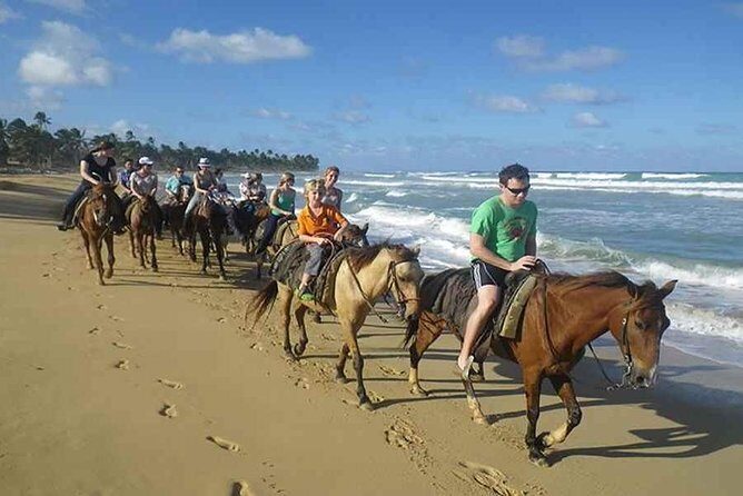 Punta Cana Beach Horseback Riding - An In-Depth Look at Punta Cana Beach Horseback Riding